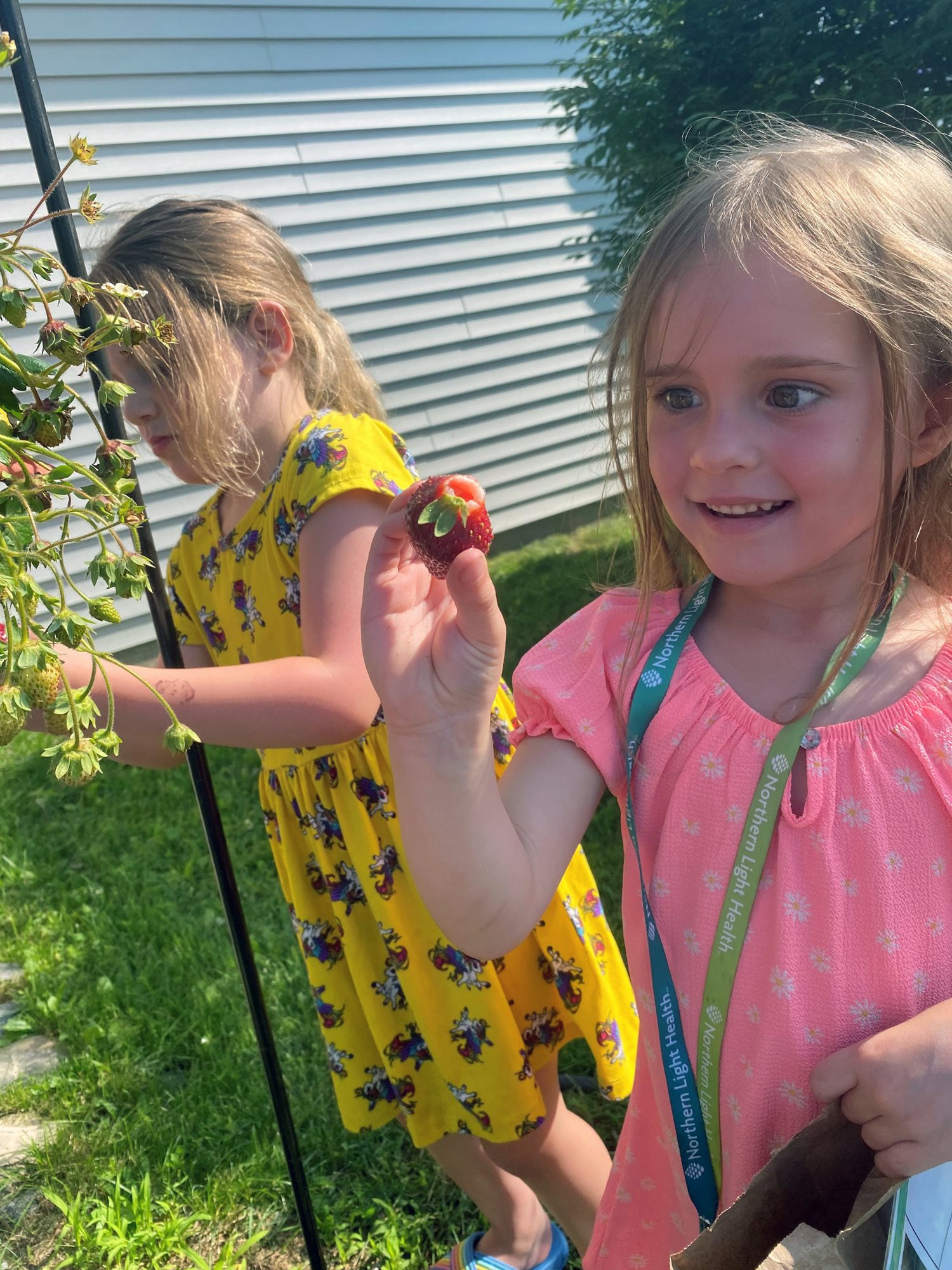 Growing Together - Northern Light Health