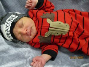 Online Nursery - Northern Light Health