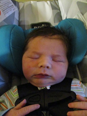 August - 2019 - Northern Light Maine Coast Hospital - Northern Light Health