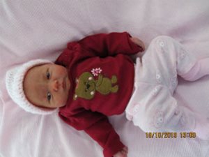 Online Nursery - Northern Light Health