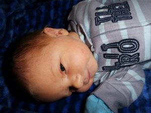 Online Nursery - Northern Light Health