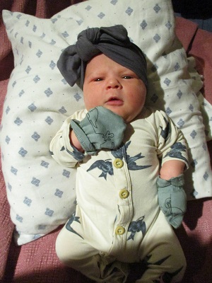 September - 2019 - Northern Light Maine Coast Hospital - Northern Light ...