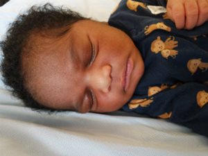 Online Nursery - Northern Light Health