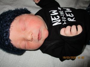 Online Nursery - Northern Light Health