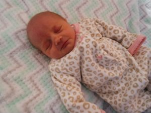 Online Nursery - Northern Light Health